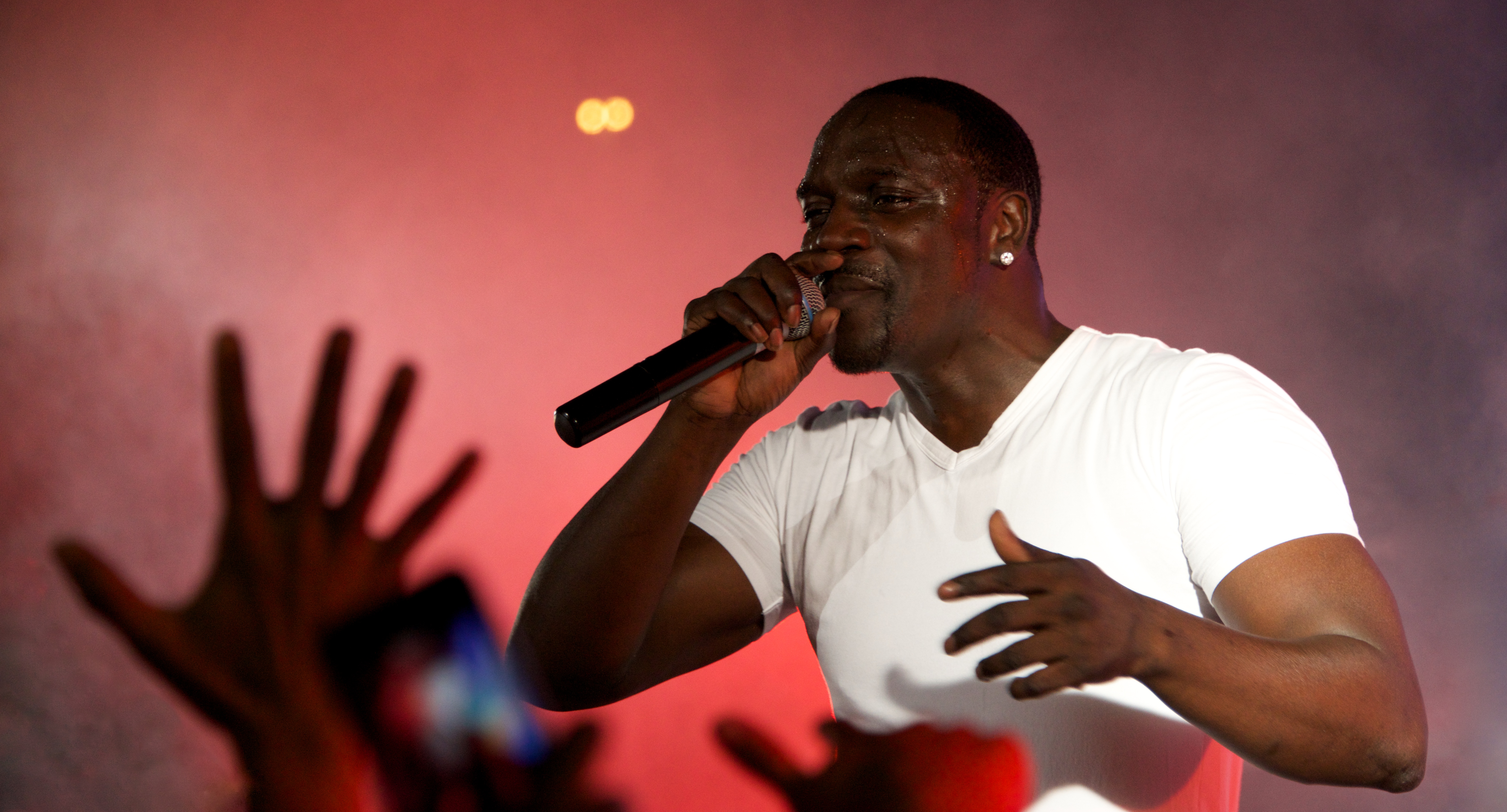 Black singer Akon and hand of fan - Nick Dale - Private Tutor