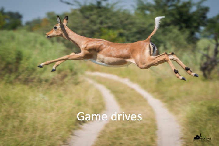 Slide1 - Nick Dale - Private Tutor